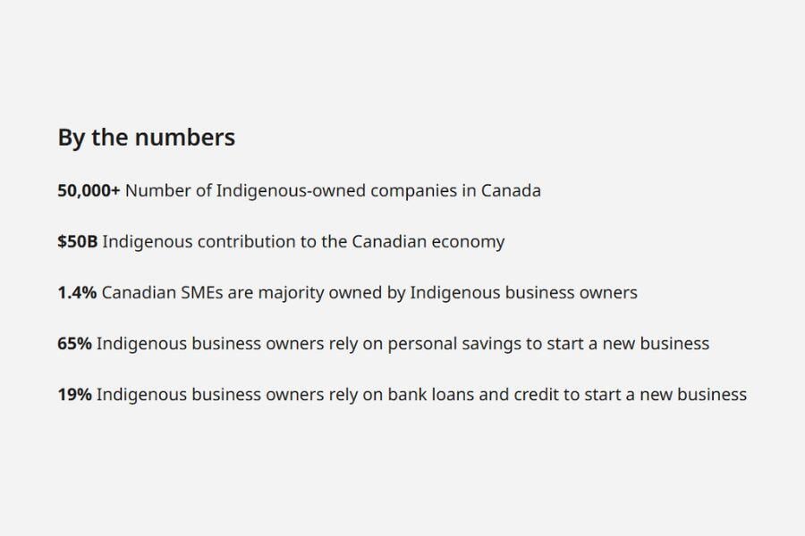 CIIS | What Does Indigenous Owned Business Mean?